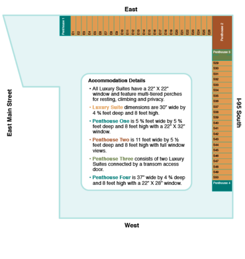 Boarding Policies & Procedures | Just Cats Vet Hospital